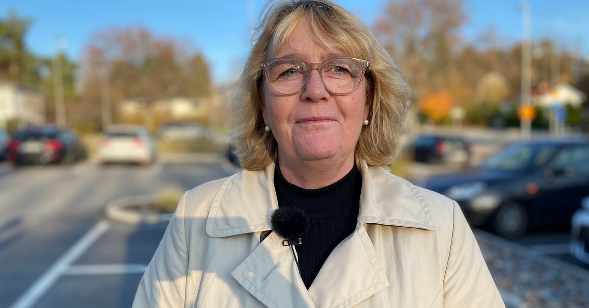 Svenonius (M): 100 miljoner till förlossningsvården – öppnar för mer ...