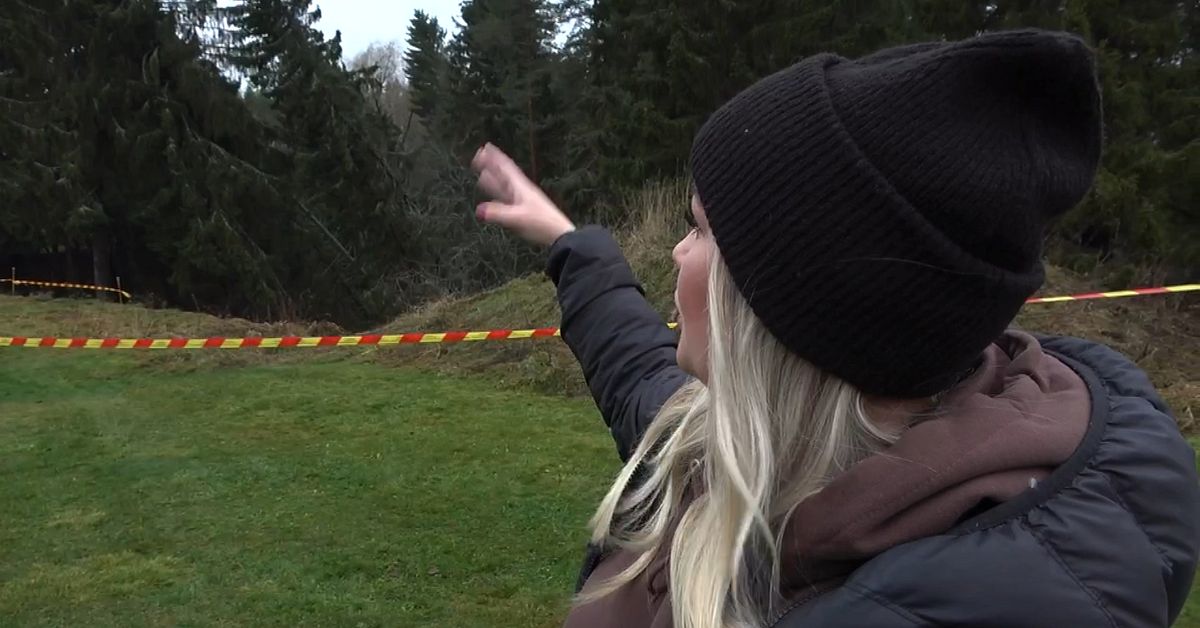 Nu inspekteras rasområdet i Kusmark – ”Alla de här träden brukar stå ...