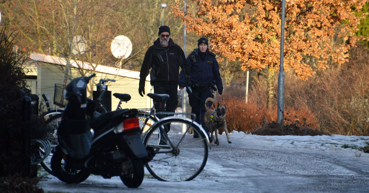 Tre Anhållna Misstänkta För Mord I Vivalla Svt Nyheter