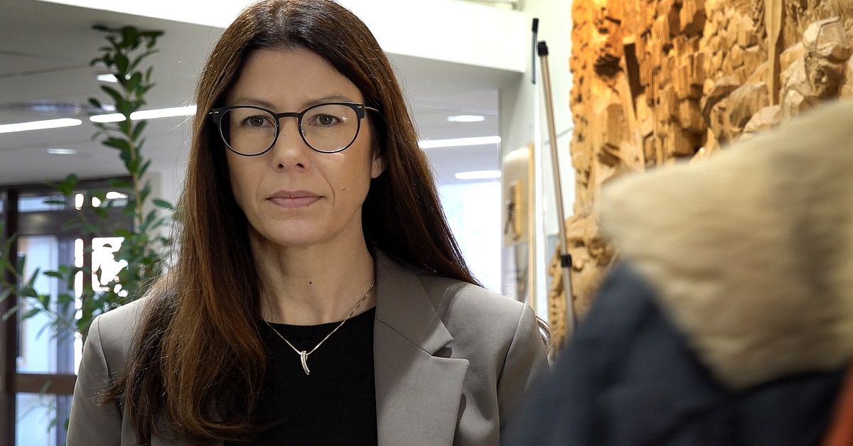 Bodil Hansson (S) upplevde påtryckningar efter kärleksrelation med ...