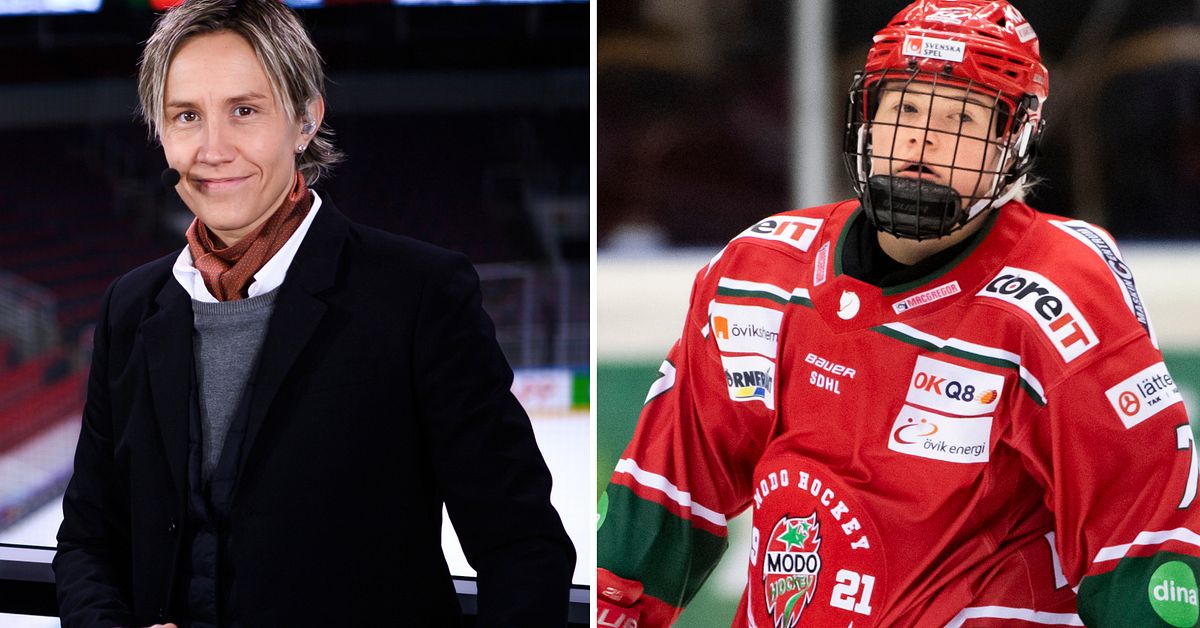 Ishockey: Experten tror på skrällar i SDHL-slutspelet | SVT Sport