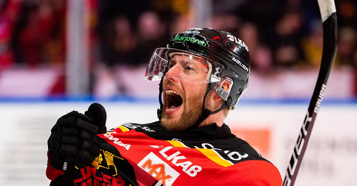 Frälsaren från Övertorneå tillbaka – Linus Omark klar för Luleå Hockey | SVT Nyheter