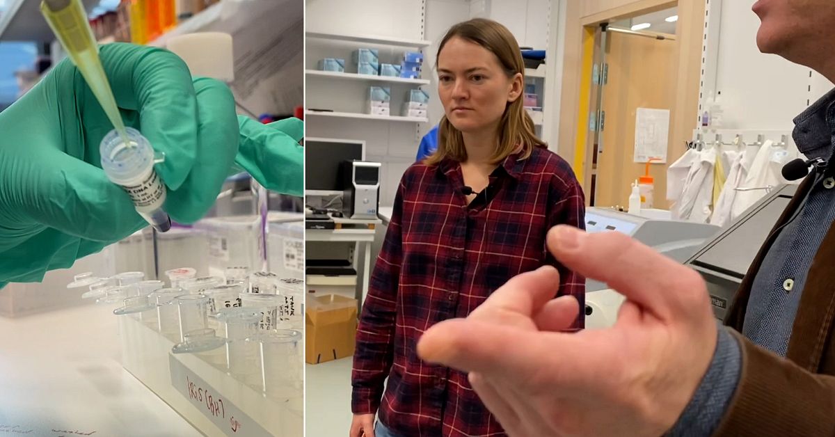 Forskning om vattenföroreningar avbröts av kriget – letar nu efter nytt labb | SVT Nyheter