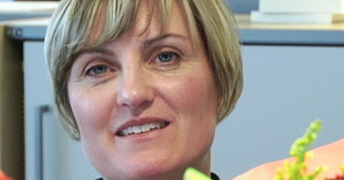 ”Han är tystlåten men har humor” | SVT Nyheter