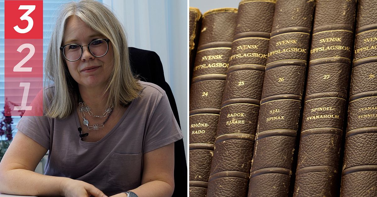 De eller dem – klarar du svenskans språkutmaningar? | SVT Nyheter