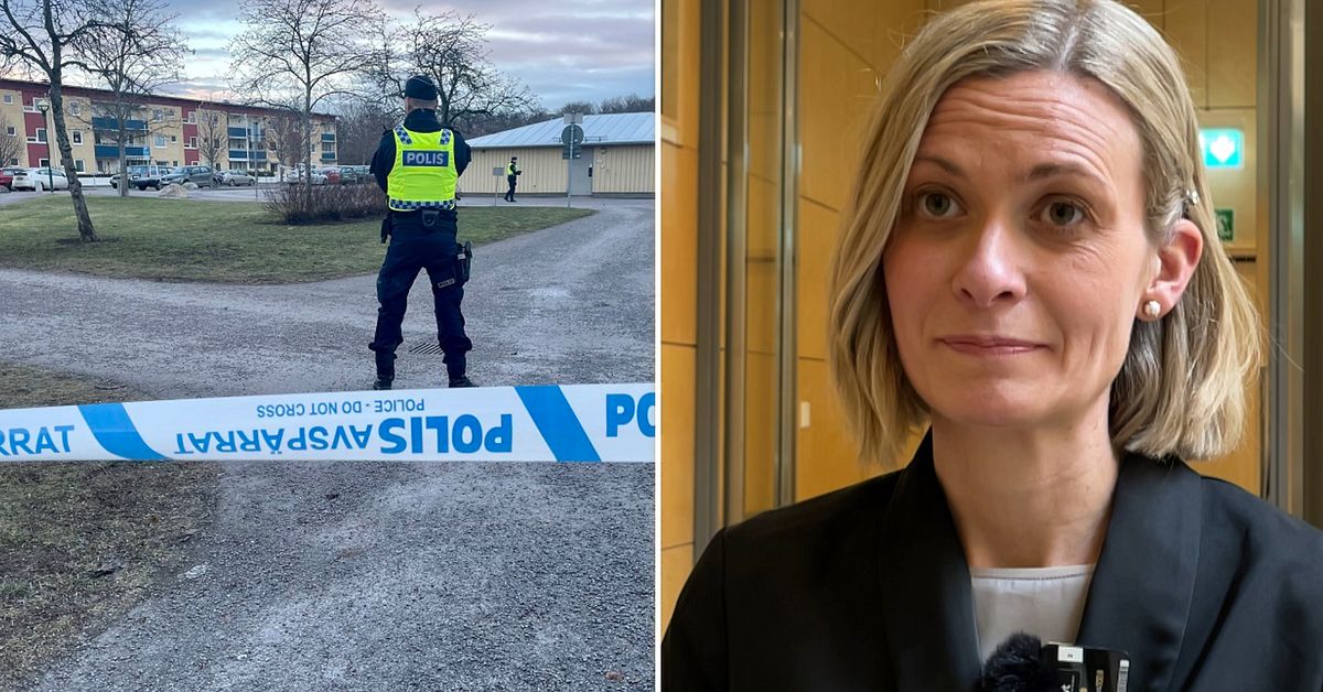 25 åring Häktad För Medhjälp Till Mordet I Ekholmen Svt Nyheter