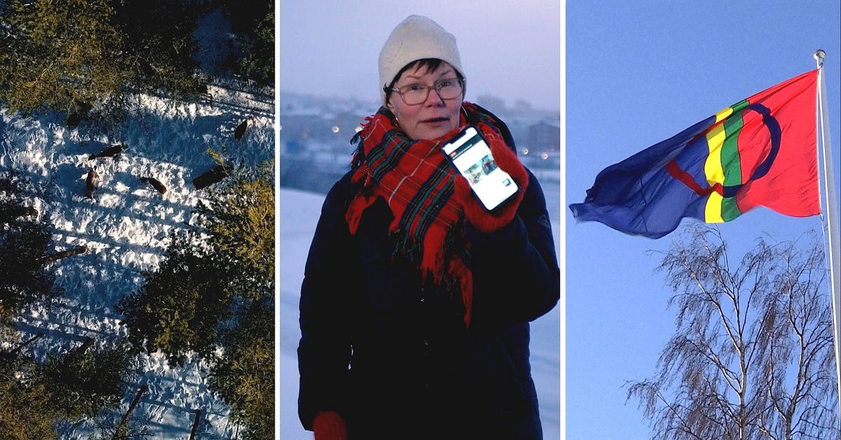 Senaste nytt på svenska | SVT Nyheter