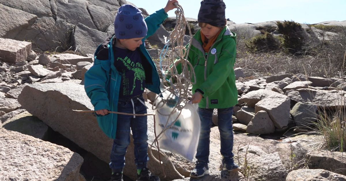 Här hjälper frivilliga till att städa Bohuskusten – en av landets ...