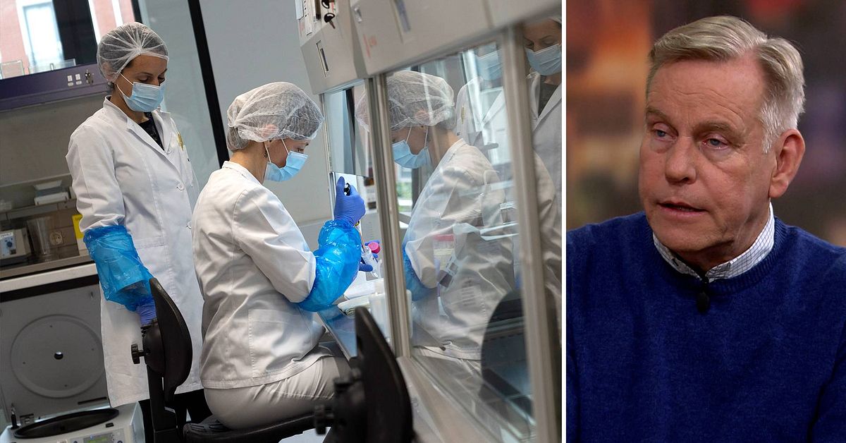 Experten om spridningen av apkoppor: ”Vi behöver tagga ner” | SVT Nyheter