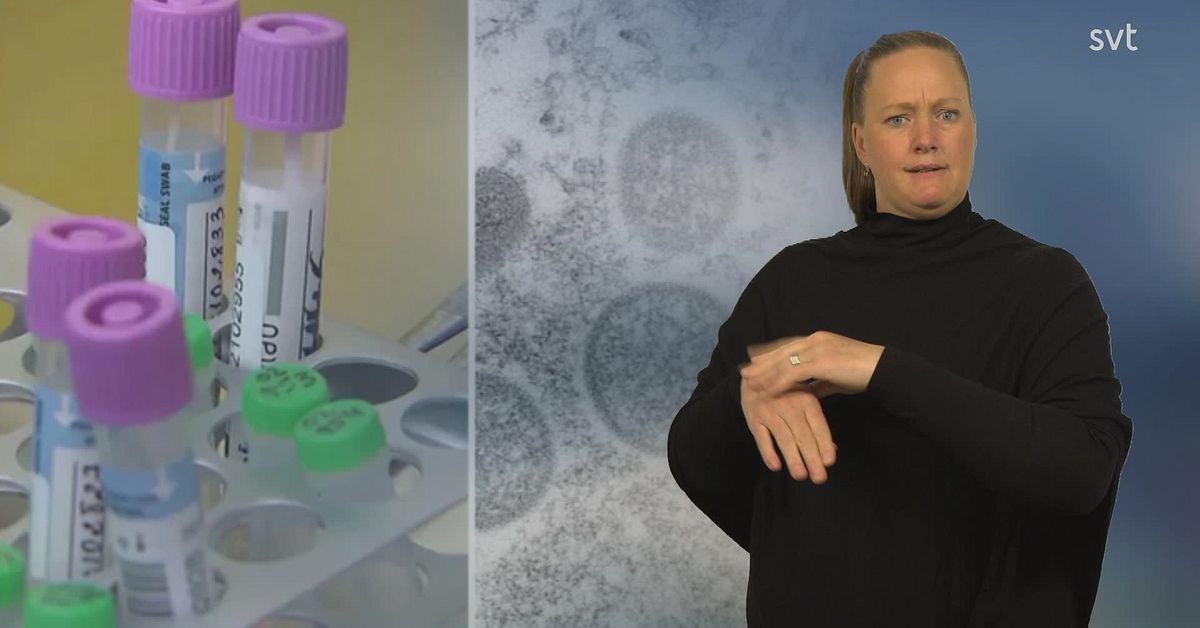 Apkoppor klassas som allmänfarlig sjukdom | SVT Nyheter