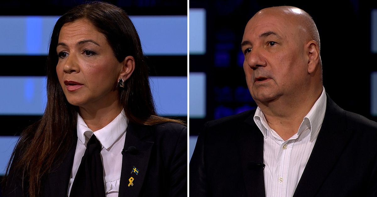 Gulan Avci (L): Erdogans krav är orimliga | SVT Nyheter