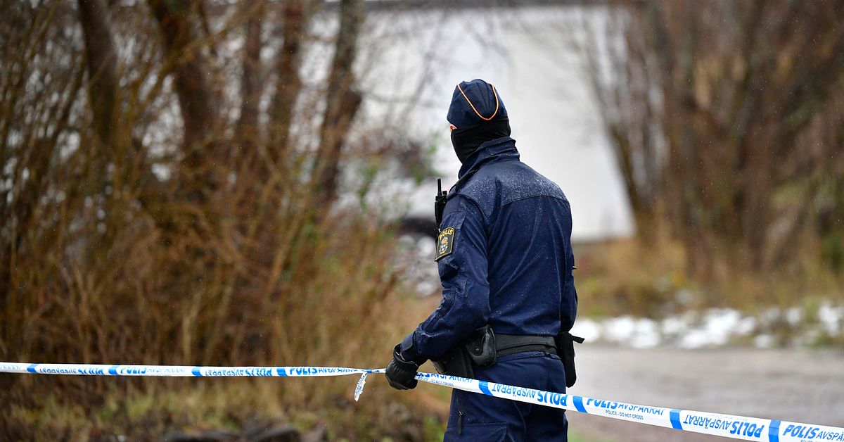 Man Döms Till Livstids Fängelse För Mord På Sin Gravida Sambo Svt Nyheter