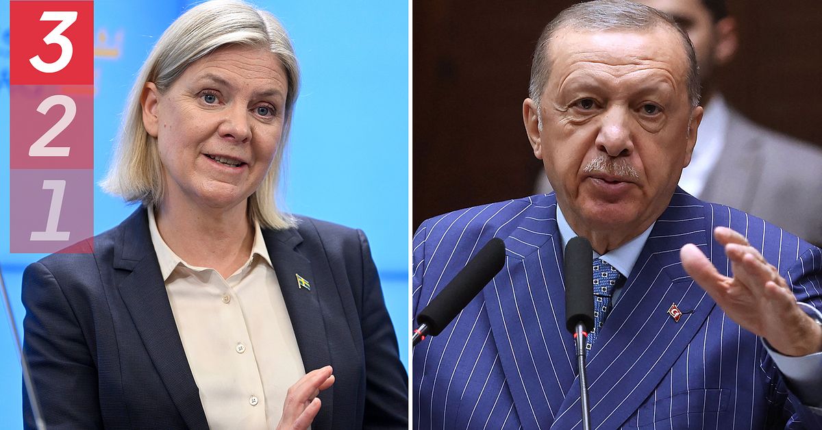 Lista Så Har Sveriges Retorik Mot Turkiet Förändrats Svt Nyheter