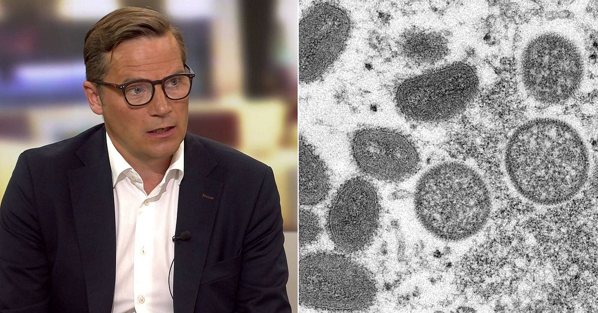 Fortsatt ökning av apkoppor – mest i Stockholm | SVT Nyheter