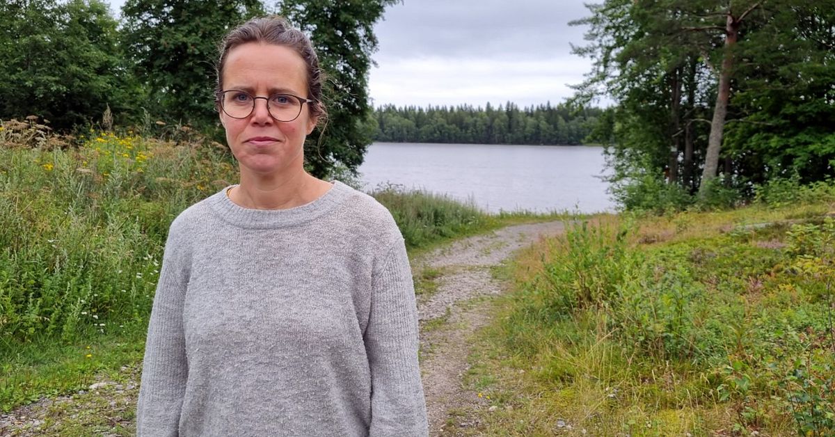 Giftiga alger i sjö i Holmsund – kommunen avråder från bad: ”Hundar och ...