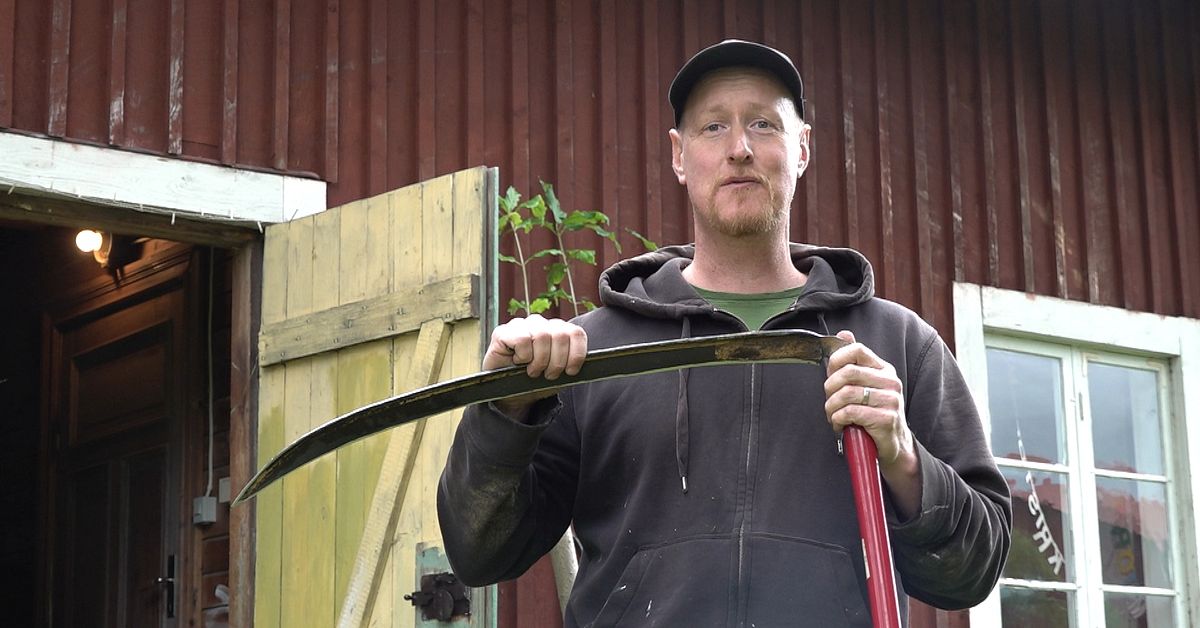 Kristofer i Dvärsätt lär ut konsten om lieslåtter: ”Vi ska värna mer om ...
