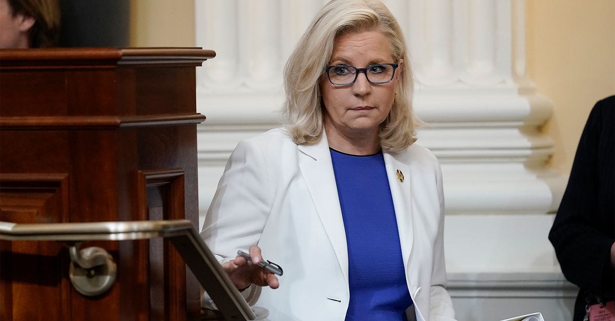 Primärval i Wyoming – Liz Cheneys öde avgörs | SVT Nyheter