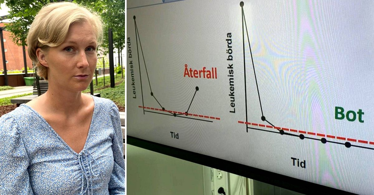 Sofia Ekström fick aggressiv blodcancer – ny behandling upptäckt vid Karolinska | SVT Nyheter