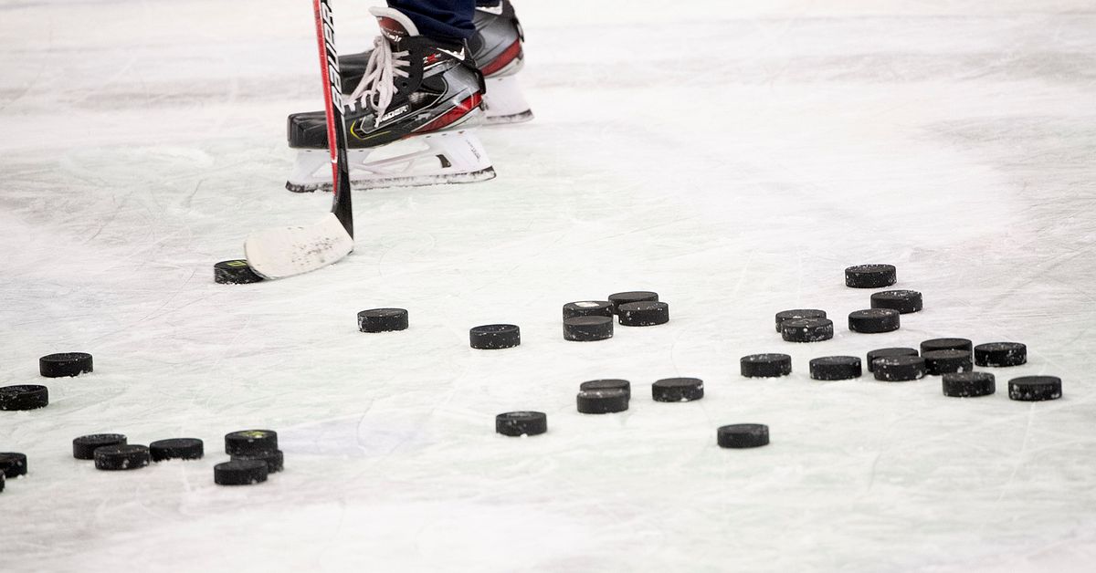 Värmlands ishockeyförbund om avhoppen: Kan bli ett samhällsproblem ...