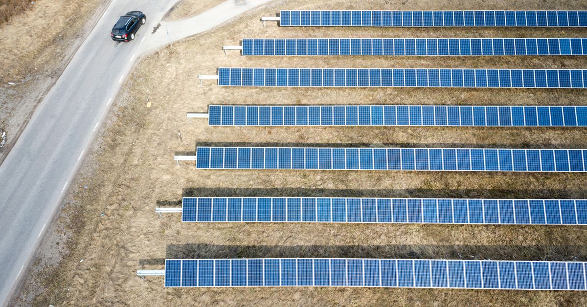 Kolmårdens djurpark storsatsar i solcellspark | SVT Nyheter