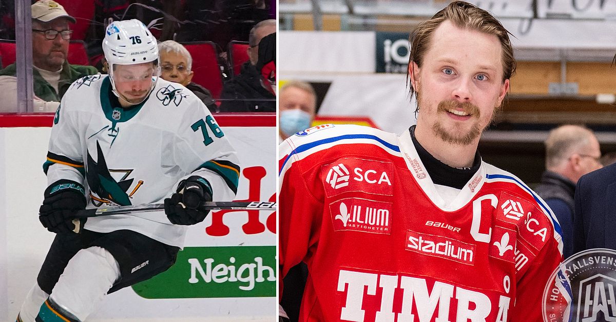 Ishockey: Officiellt: Dahlén återvänder till Timrå IK | SVT Sport