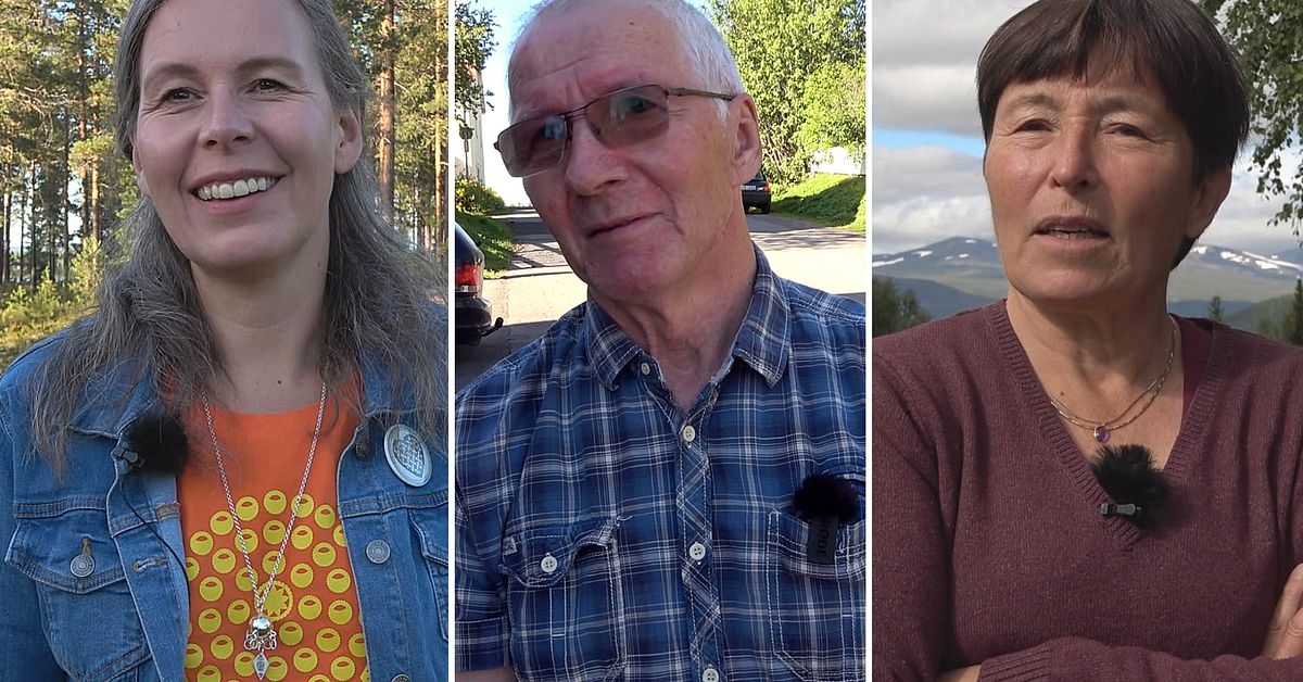 Sámi jienasteadjit: ”Deháleamoš lea beroštupmi sámi aššiin” | SVT Nyheter