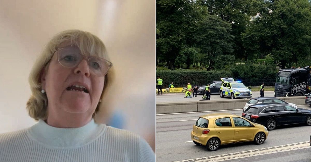 Svenonius (M) om klimataktivisterna: ”Blir ledsen, arg och frustrerad ...