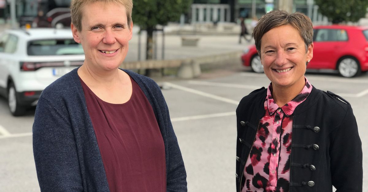 Skövdepartiets kometkarriär: tredje största parti i första valet | SVT ...