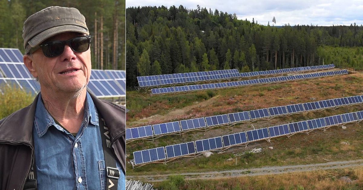 Byn i Krokom med egen solcellspark: ”Vi är helt okänsliga för prissvängningar” | SVT Nyheter