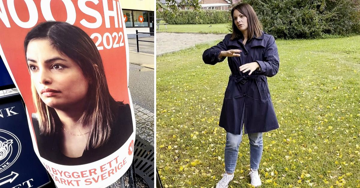 Nya riksdagsledamoten Isabell Mixter (V) vill se mer länssamarbete i ...