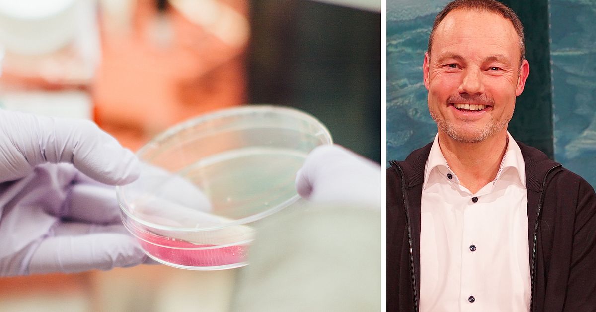 Läs chatten om virus, bakterier och infektioner | SVT Nyheter