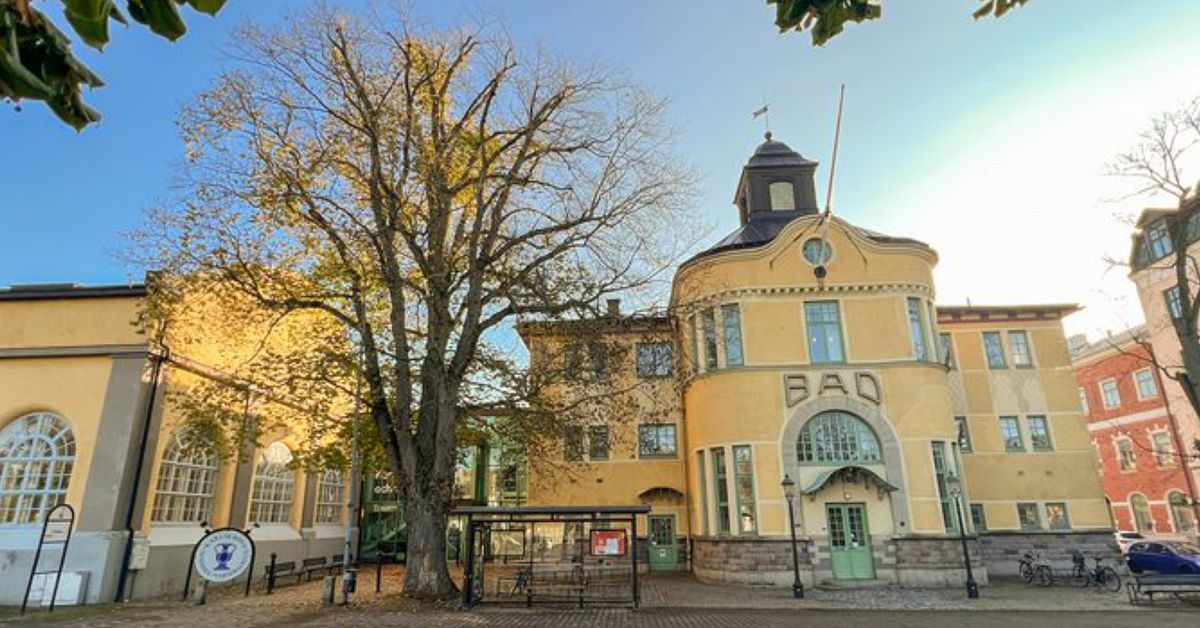 Alla kommunens almar sjuka – 250 träd fälls | SVT Nyheter