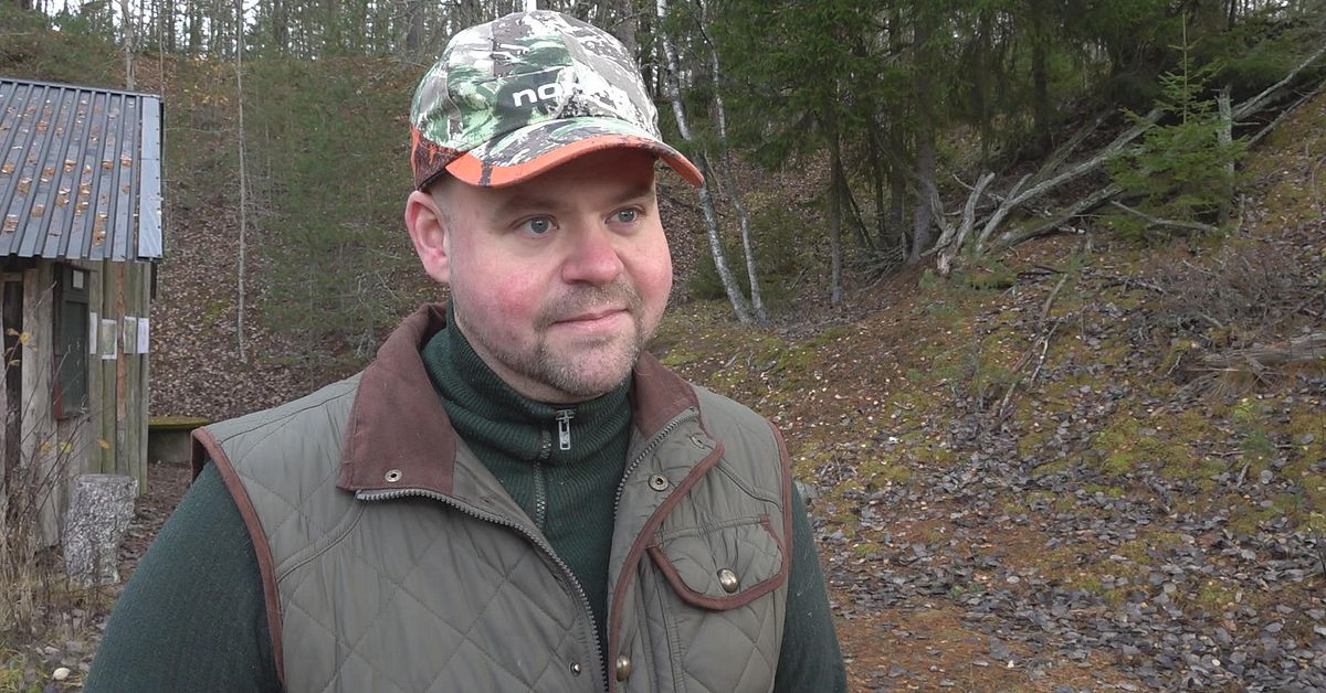 Landsbygdsminister Peter Kullgren (KD): Inte aktuellt att utreda förbud mot kamphundar | SVT Nyheter