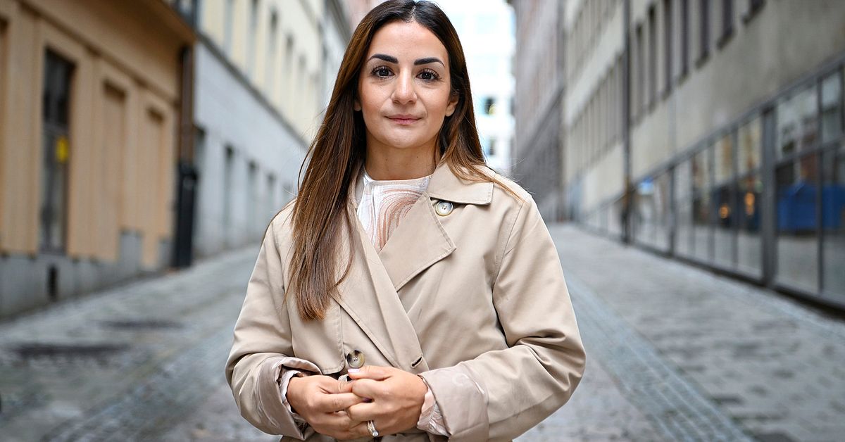 Oklart syfte med ny svensk kulturkanon | SVT Nyheter