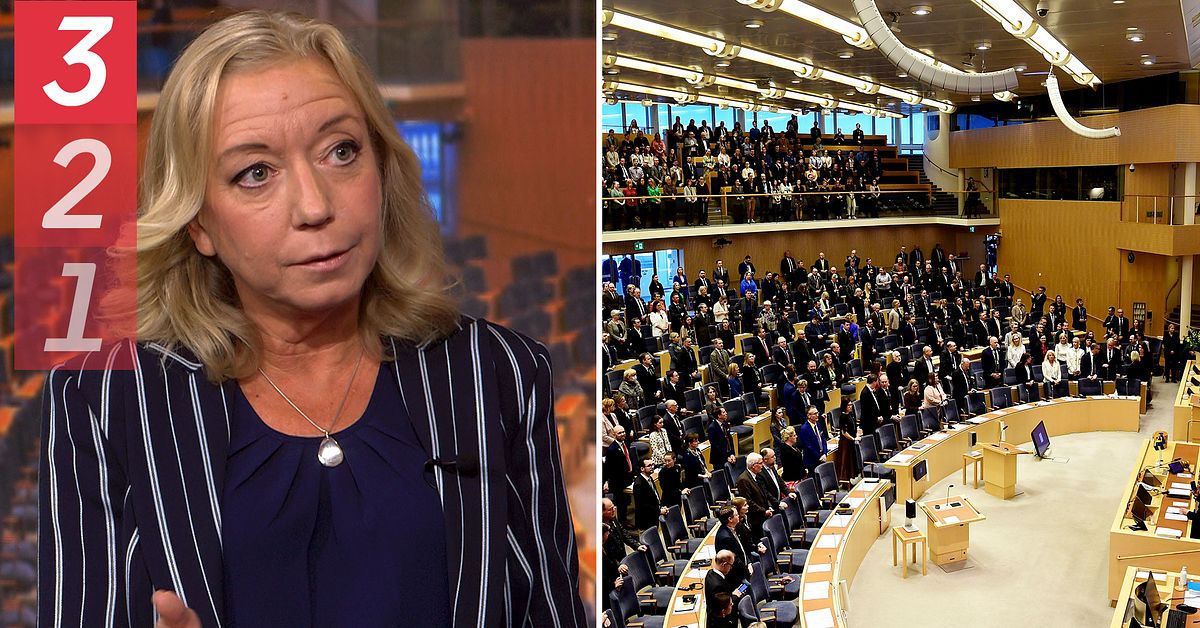 Marmorstein: Tidöavtalet kan skapa spännande debatt | SVT Nyheter