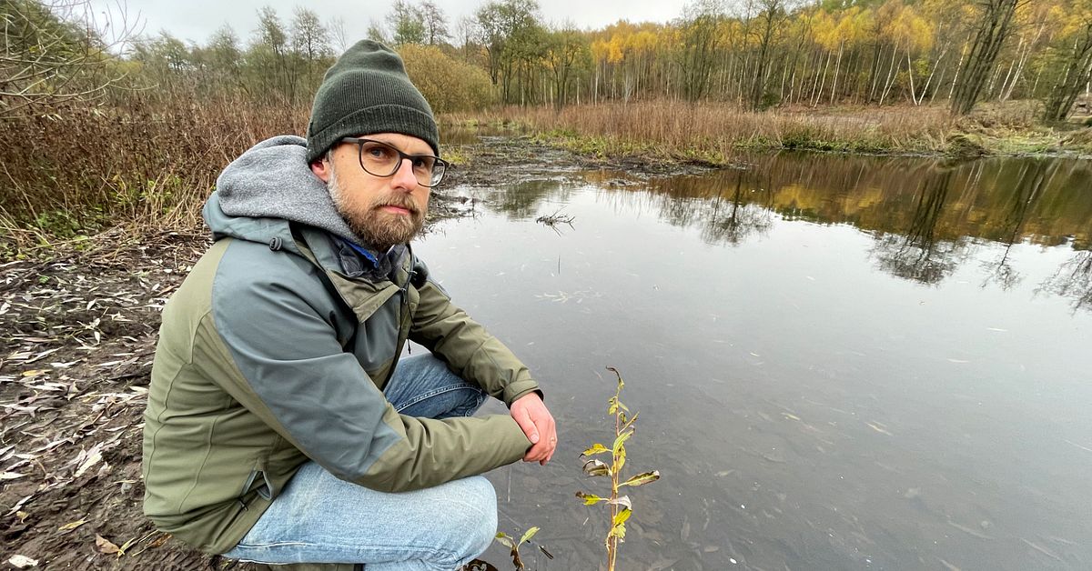 Bäcken ska rusta Båstad mot klimatförändringarna – ”Mycket pang för ...