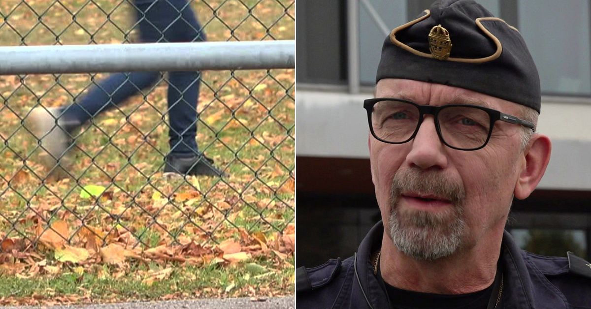 Polisen Om Vågen Av Sexbrott I Kungsbacka ”skapar Oro” Svt Nyheter
