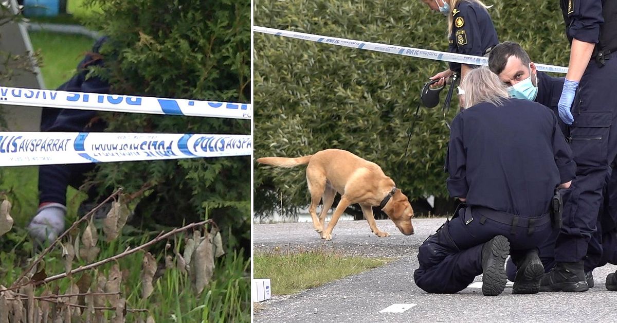 Vittne Kan Knyta Misstänkte 17 åringen Till Mordet I Johannedal Svt