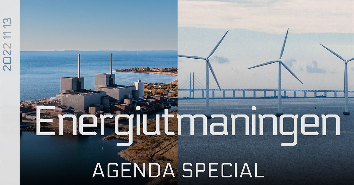 Här är forskarna i Agenda Special: Energiutmaningen | SVT Nyheter
