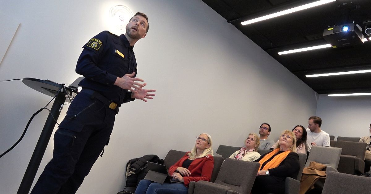 Polisens Projekt För Mäns Våld Mot Kvinnor Prisas Svt Nyheter