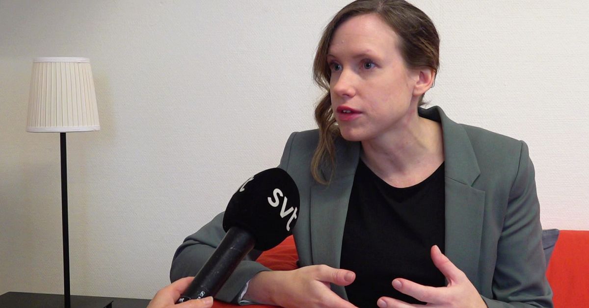 Åsele kommun vill få fler unga att stanna kvar – skickar ut ...