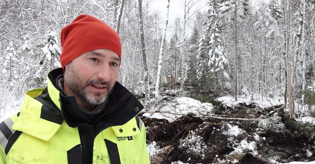 Här återställs våtmarker i Hudiksvall – ska minska utsläppen av ...