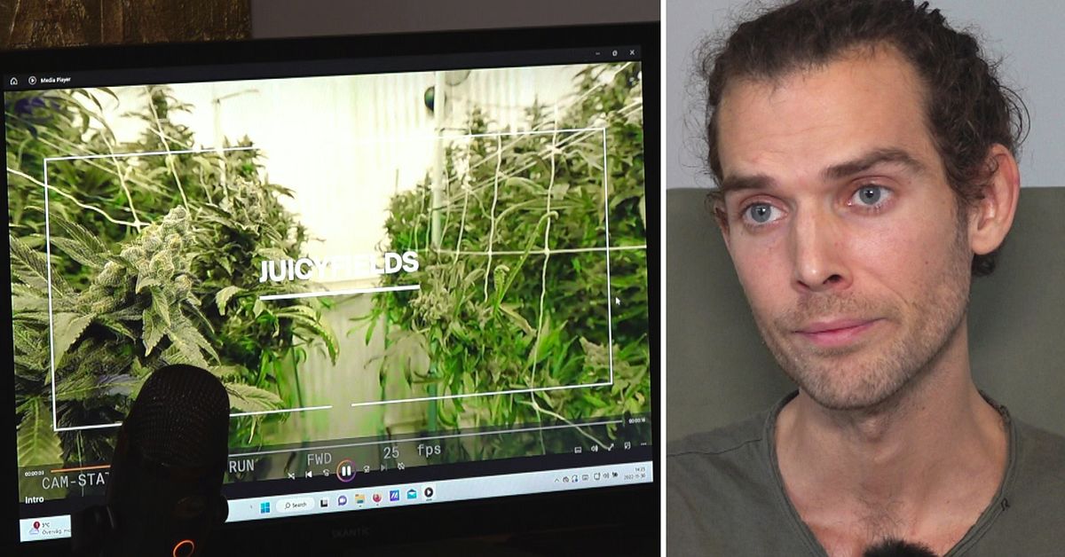 Daniel i Borås grundlurades i cannabisbluffen – nu stämmer han Mark ...