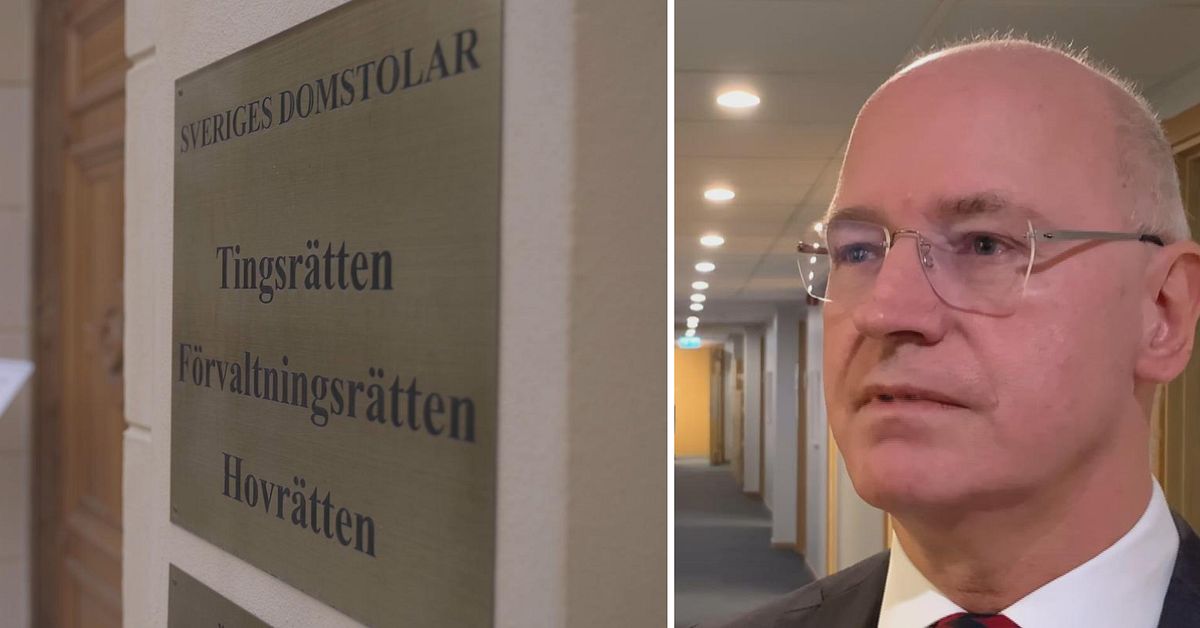 Åklagaren Om Domen ”tingsrätten Har Gått På Min Linje I Alla Delar