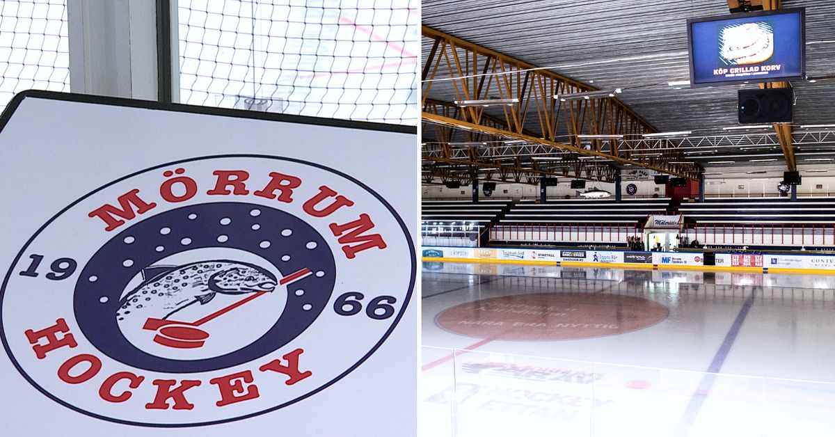 Mörrumtränaren Thomas Engman efter uppsägningen: ”Hotats med ...