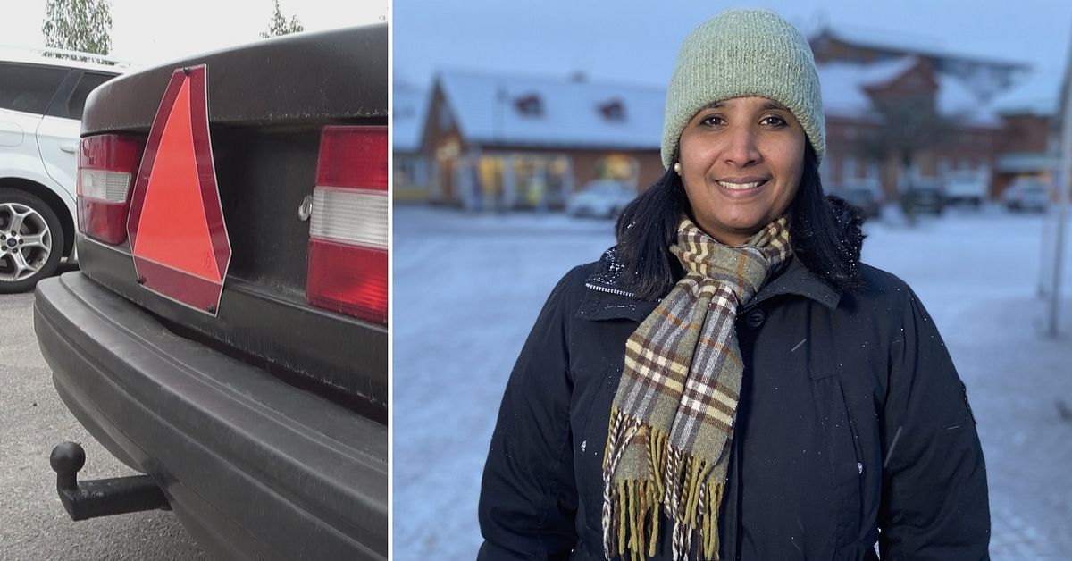 Tidaholms ovanliga drag: Anlitar ”EPA-spanare” | SVT Nyheter