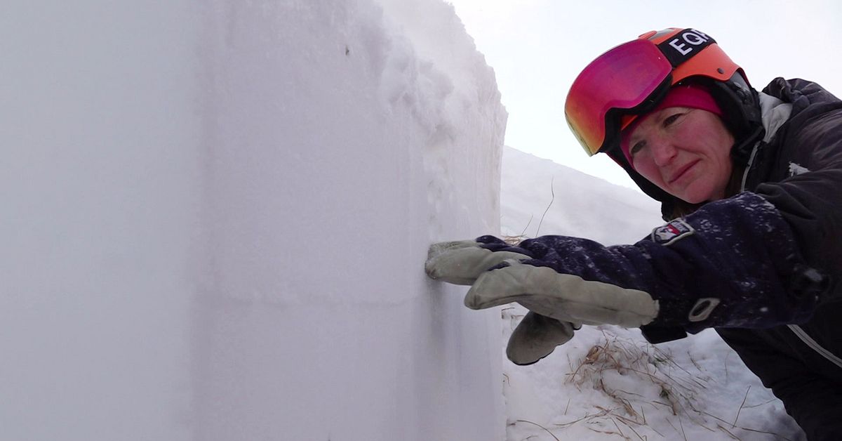 Så görs en lavinprognos – lavintekniker Karin Trolin förklarar | SVT ...