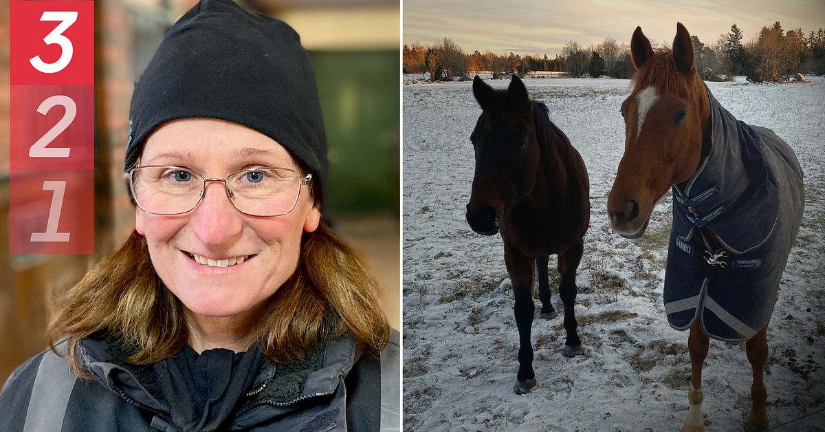 Lista Vinterns Faror För Hästarna Veterinärens Bästa Tips För Att