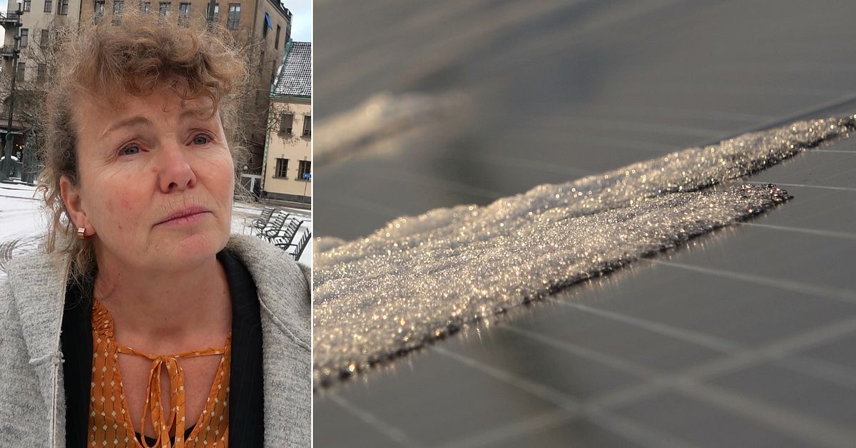 Ansökningar om solcellsparker ligger på hög: ”Ökat explosionsartat” | SVT Nyheter
