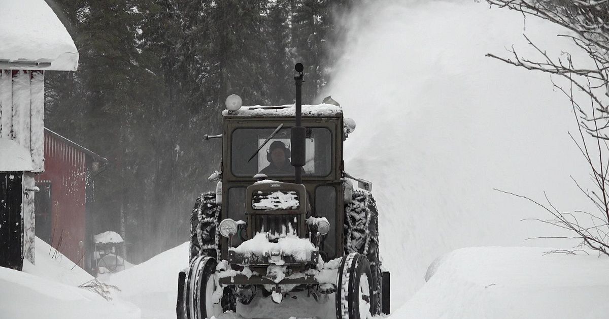 Tore Lindgren: ”Vi vill inte ha mer snö nu” | SVT Nyheter